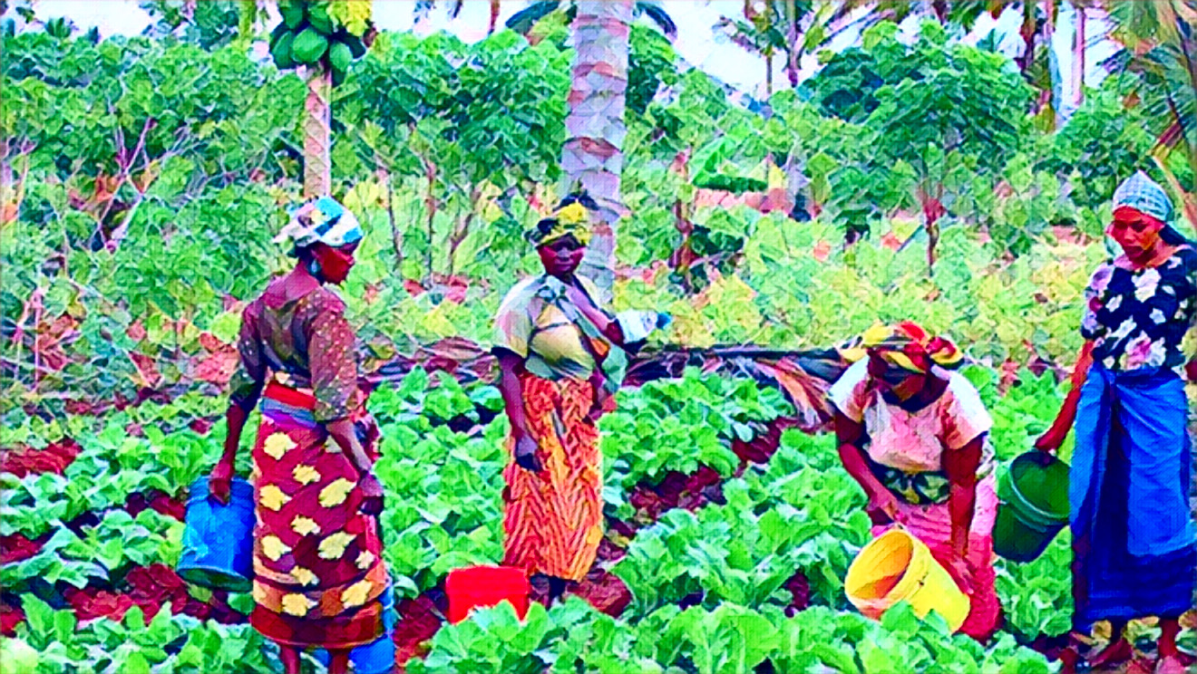 Insecurity Threatens Food Security for Northern Female Farmers