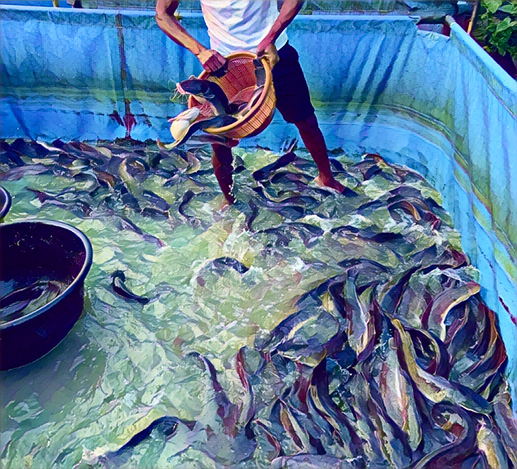 Nigeria Says Local Fish Output Jumps to 1.4 Million Tons